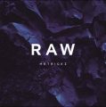 Metrickz – Raw EP – soultrainonline.de