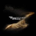 Tobias Hoffmann Jazz Orchestra – Innuendo – soultrainonline.de